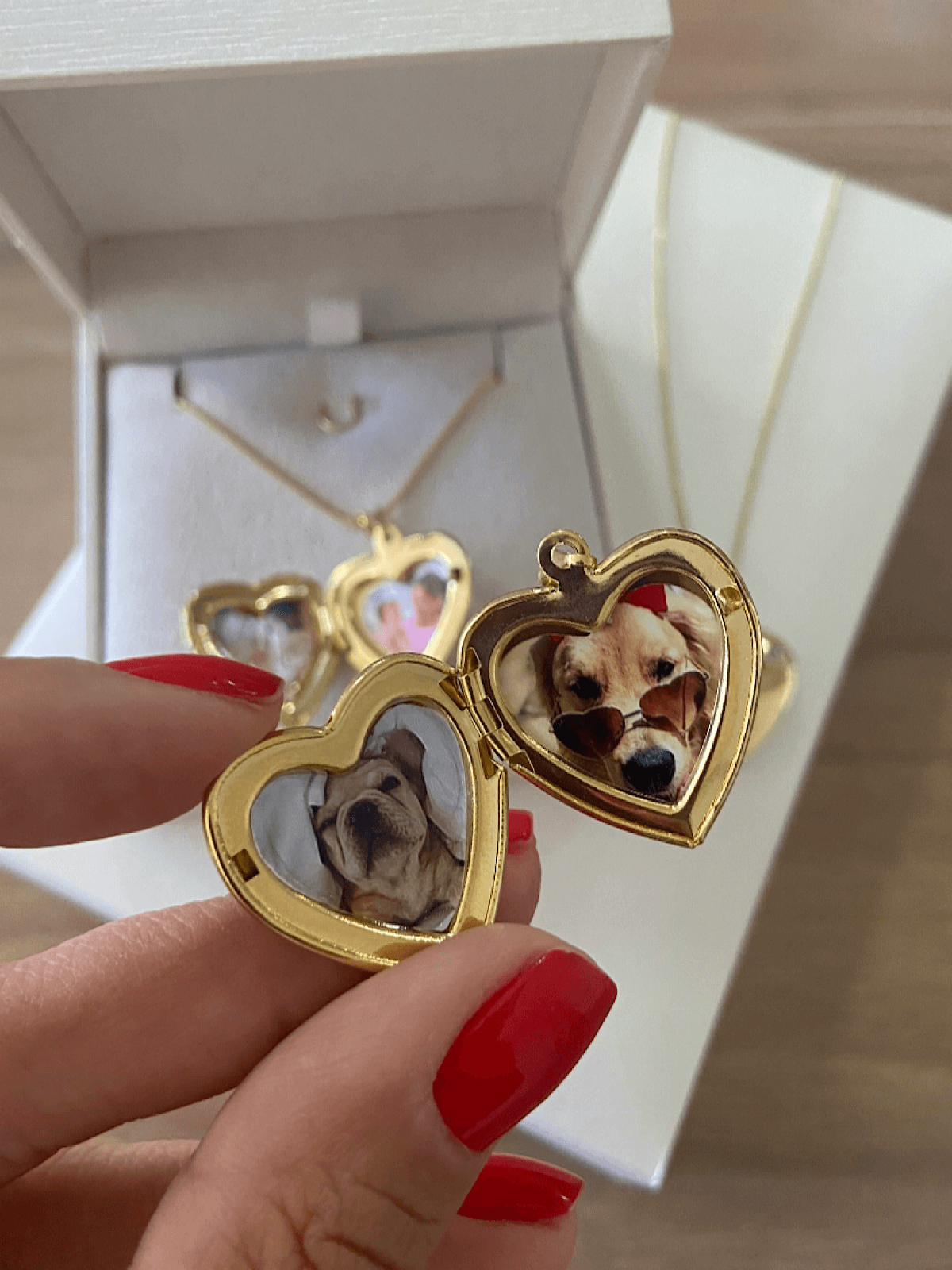 COLAR RELICÁRIO CORAÇÃO PET PERSONALIZADO COM FOTO - a partir de R$202,73