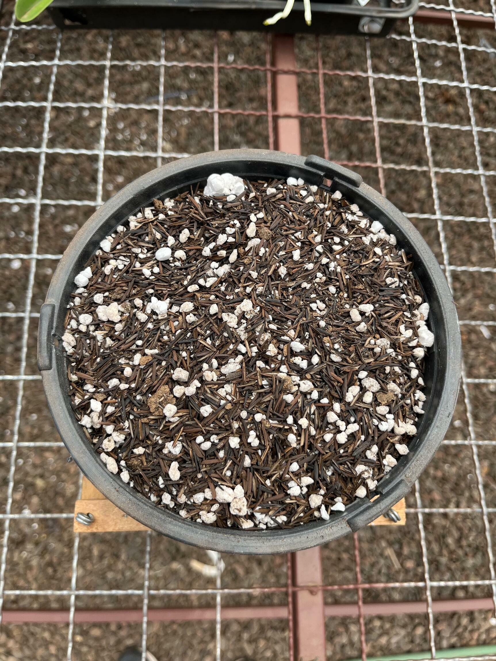 Comprar Substrato Premium para cultivo - 2litros - a partir de R$13,29