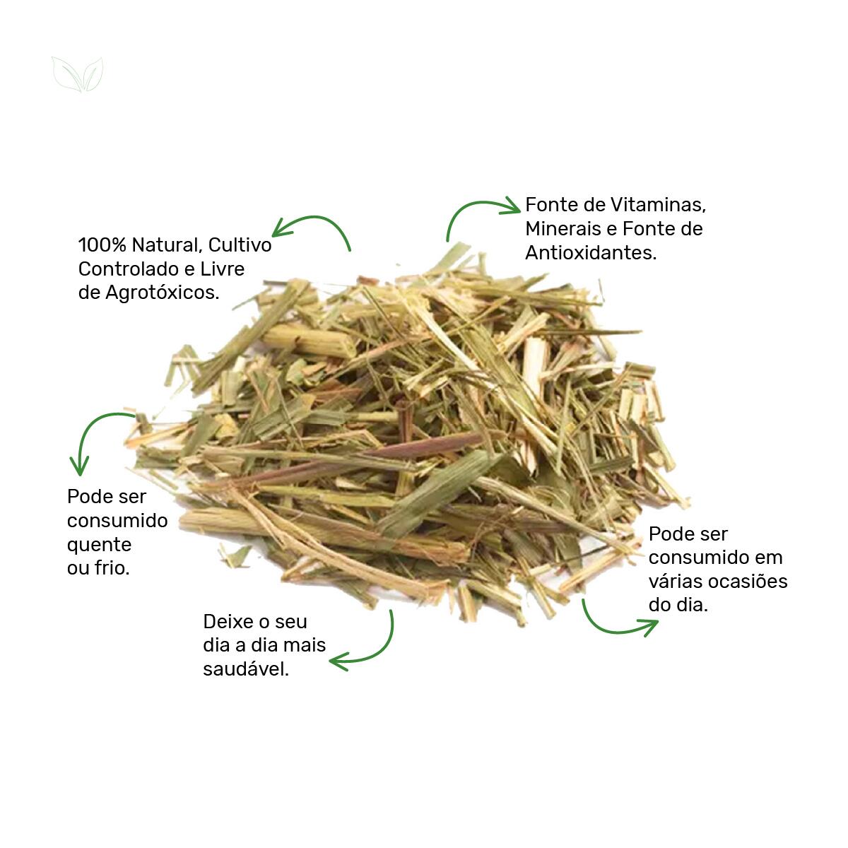 Comprar Chá de Angélica Folhas Angelica Archangelica A Granel - de R$11,69 a R$139,49 - Natural ...