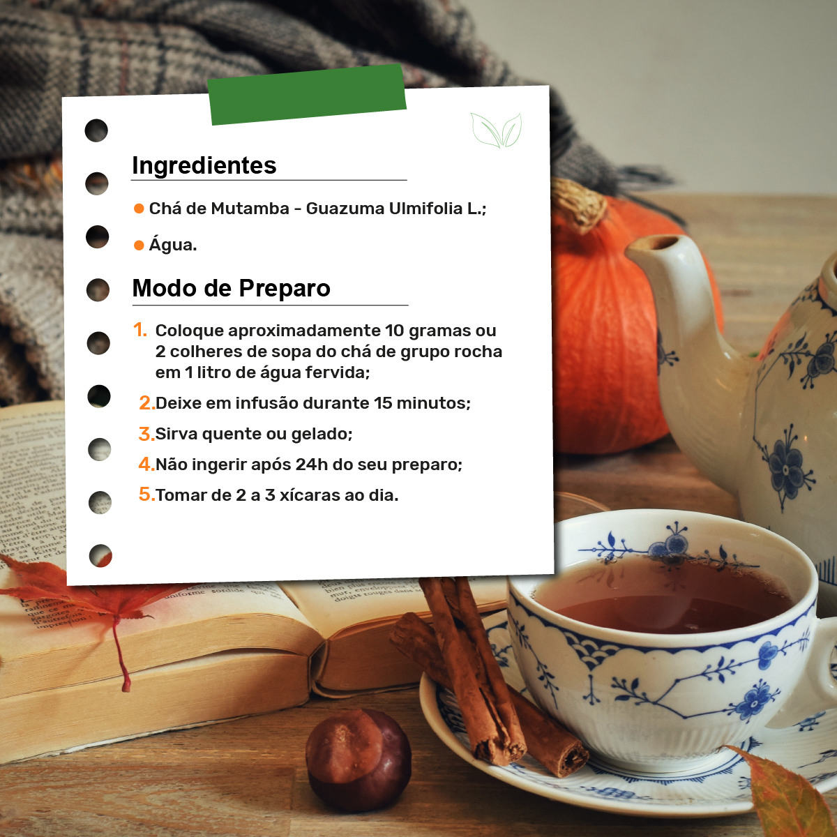 Chá de Mutamba Guazuma Ulmifolia L. A Granel - de R$9,87 a R$147,24 ...