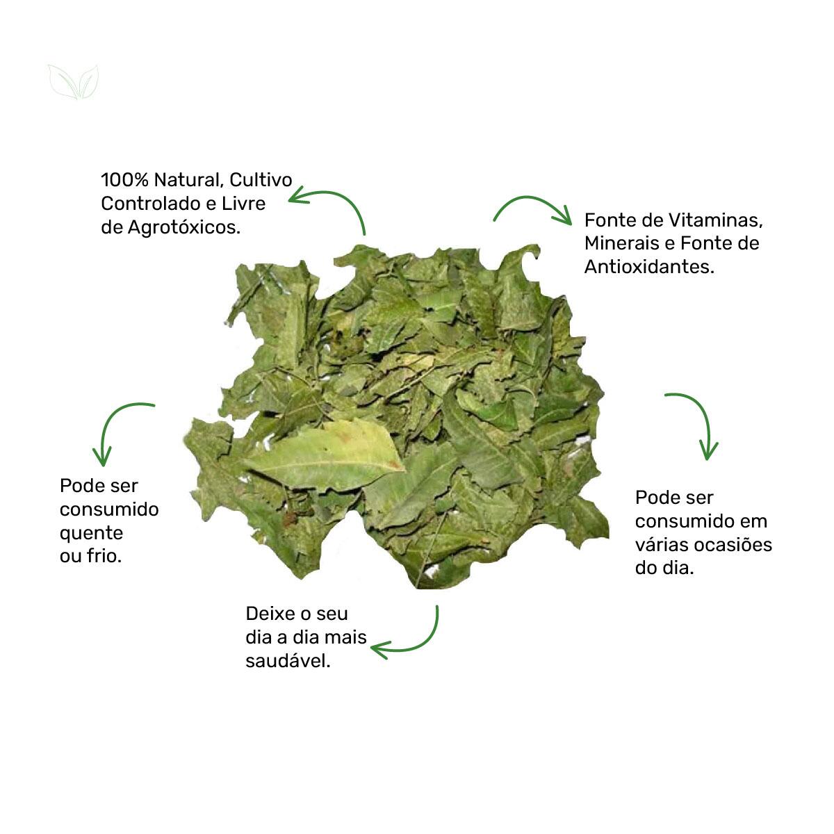 Chá de Nim Indiano Azadirachta Indica A Granel - de R$12,34 a R$147,24