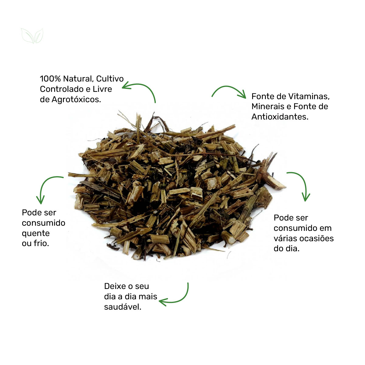 Chá de Pinhão Roxo Jatropha gossypiifolia A Granel - de R$9,87 a R$147 ...