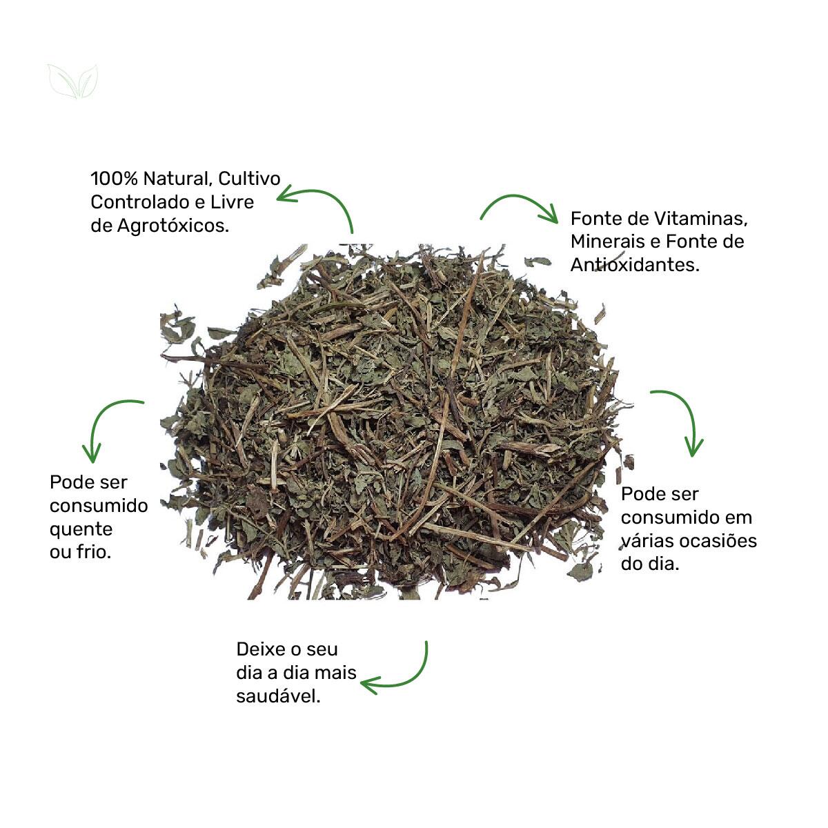 Chá de Poejo Mentha pulegium L. A Granel - de R$12,34 a R$147,24