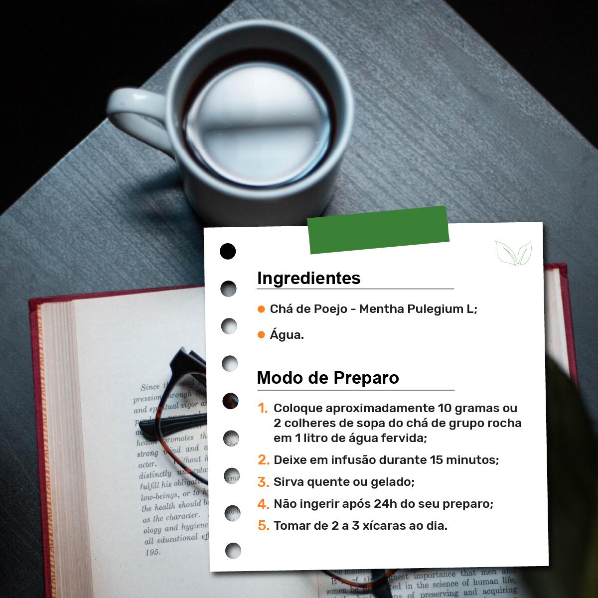 Chá de Poejo Mentha pulegium L. A Granel - de R$12,34 a R$147,24
