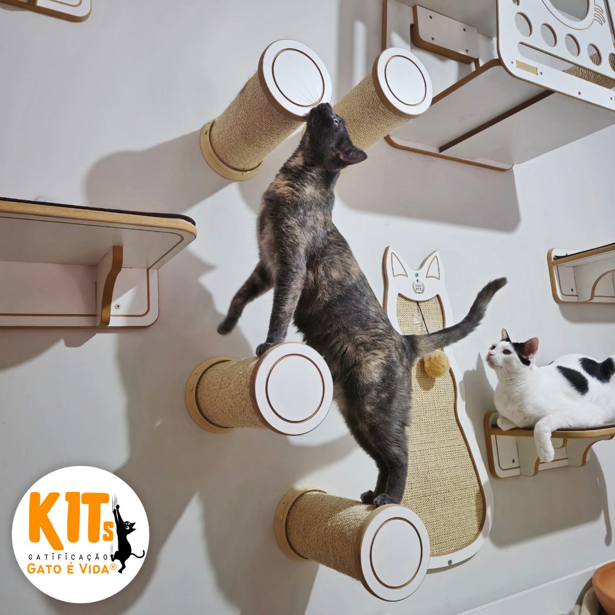 Kit Gatificação Circuito Médio de 3 a 7 gatos (2 nichos + 8 ...