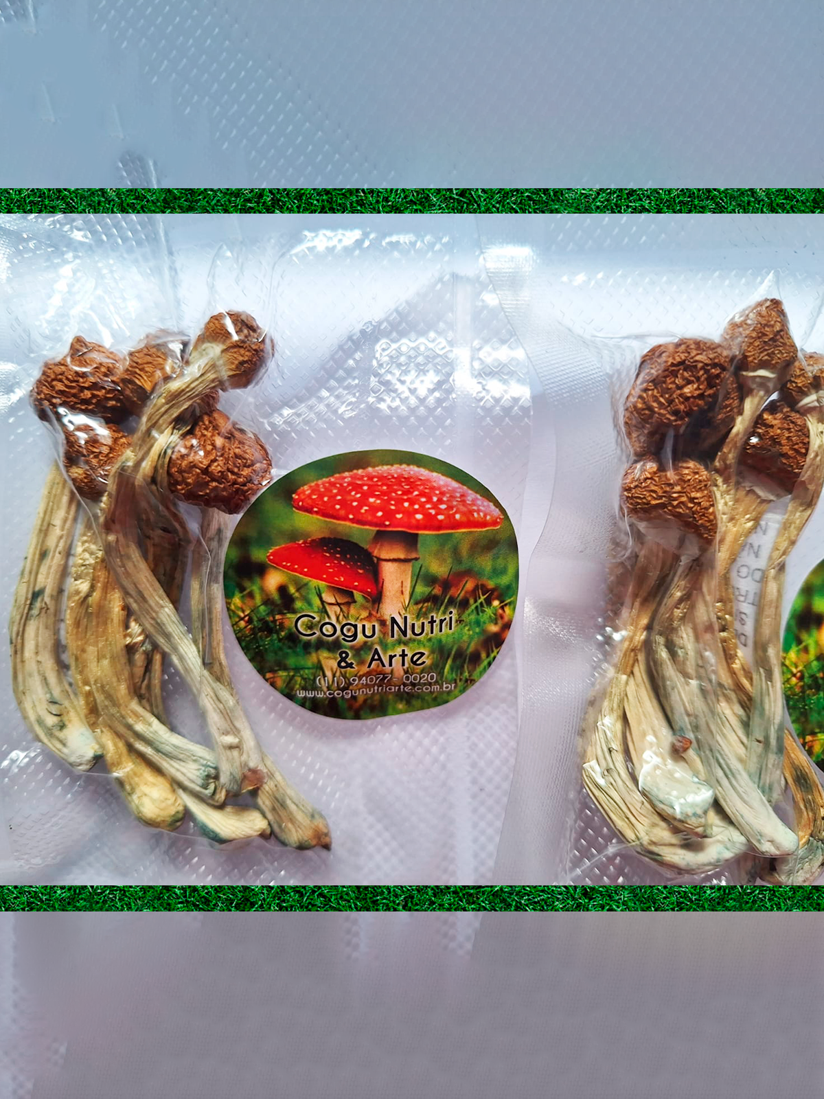 Comprar 3 x 2g ( 6g ) - Cogumelos Mágicos Desidratados - Psilocybe ...
