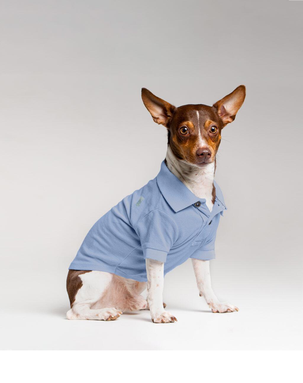 Comprar POLO SUMMER DOG - Pineapple Brand