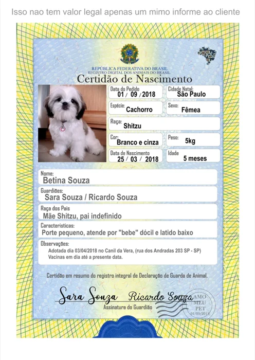 Certidão de Nascimento e RG PET - a partir de R$46,68