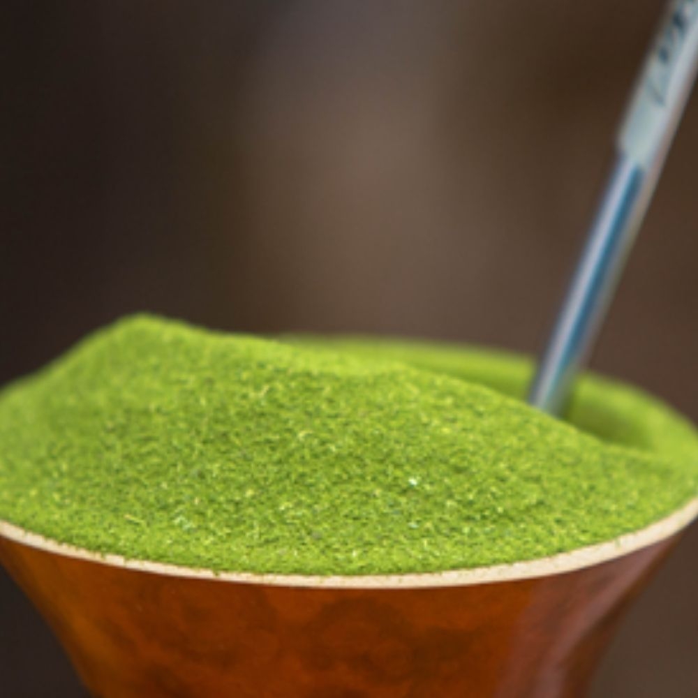 Comprar Kit 3kg Erva Mate Orgânica o melhor Chimarrão Barão Cotegipe ...