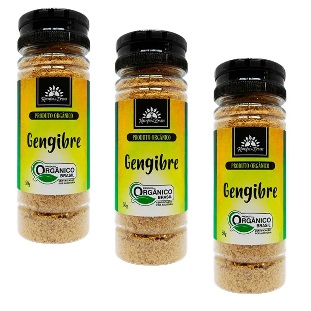Comprar Kit 3 Gengibre Orgânico Pó Puro da Raíz Tempero 50g Kampo - A ...