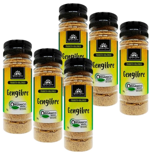 Comprar Kit 6 Gengibre Orgânico Pó Puro da Raíz Tempero 50g Kampo - A ...