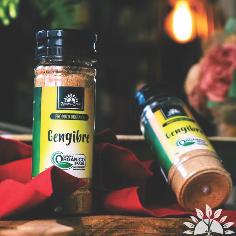 Comprar Kit 6 Gengibre Orgânico Pó Puro da Raíz Tempero 50g Kampo - A ...