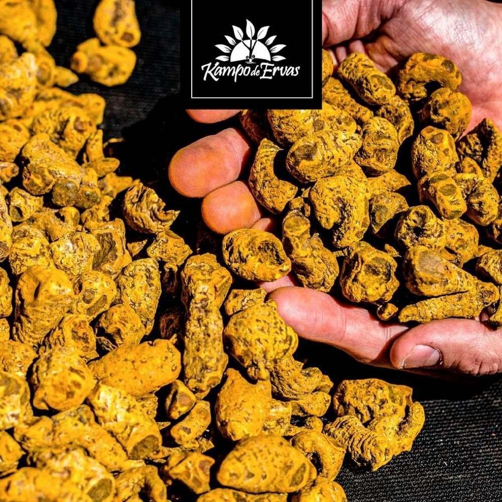 Comprar Curcumina e Cúrcuma Pura Orgânica 90cps de 600mg Kampo Ervas