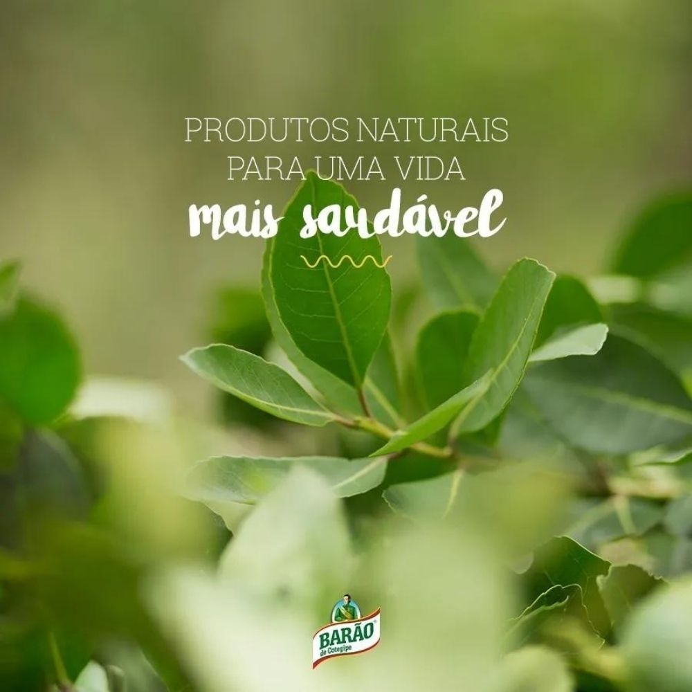 Comprar Erva Mate Tereré Black Pura Folha Premium 500g Barão - A Botica ...