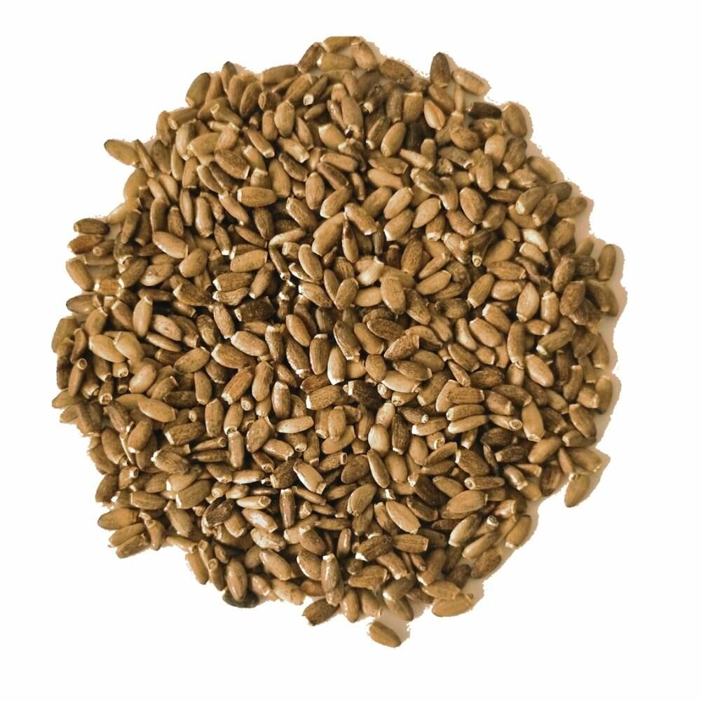 Comprar Cardo Mariano Sylibum marianum Semente Silimarina 50g