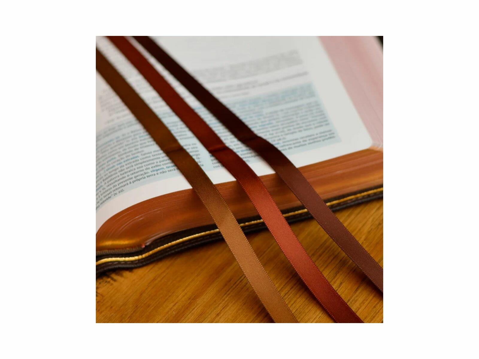 Comprar Bíbia de Estudo Thomas Nelson | NVI | Leitura Perfeita | Couro ...