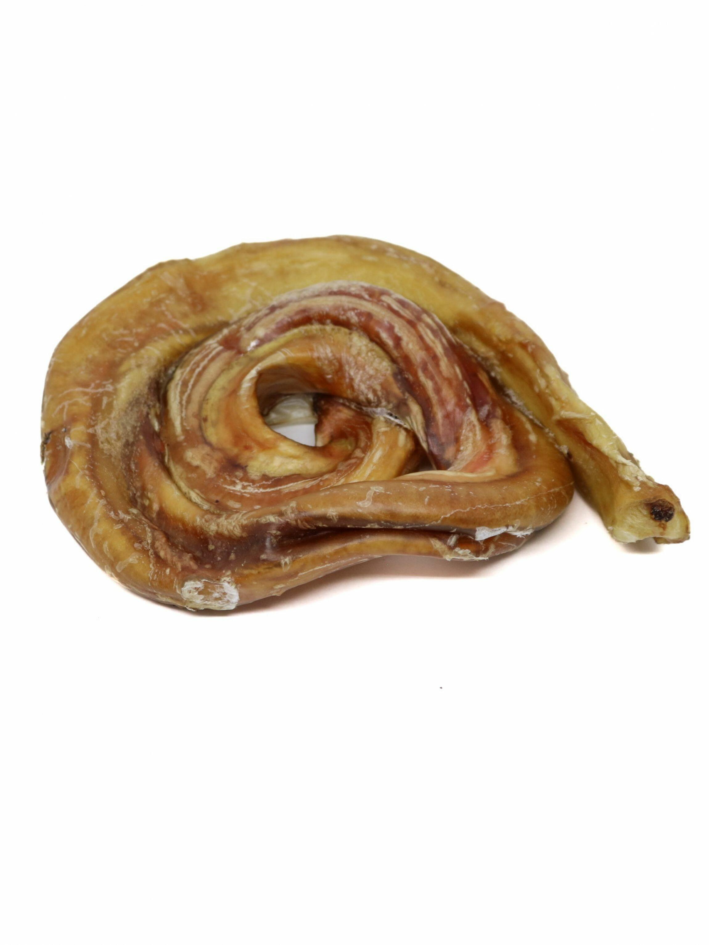 Comprar VergalhÃO 1 uni (Vergalho Bovino) - Mordedor Natural para Cães ...