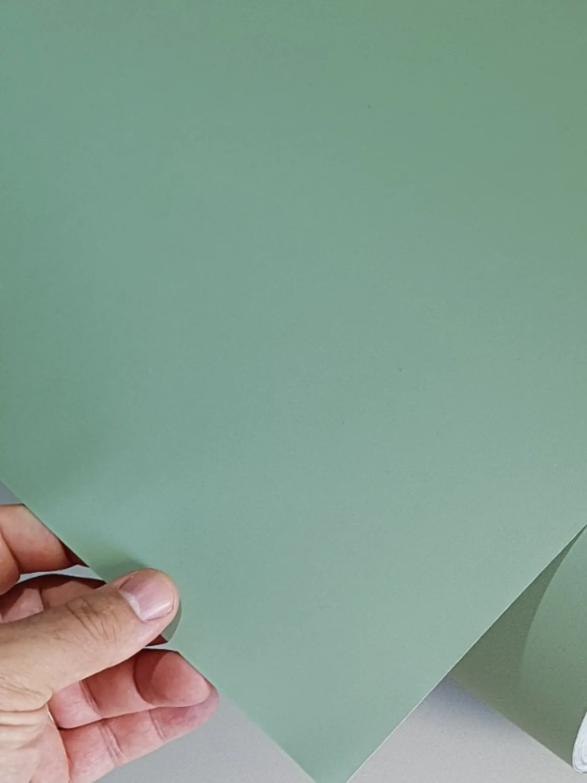 Verde balsamo amostra 20cm x 30cm - a partir de R$7,41