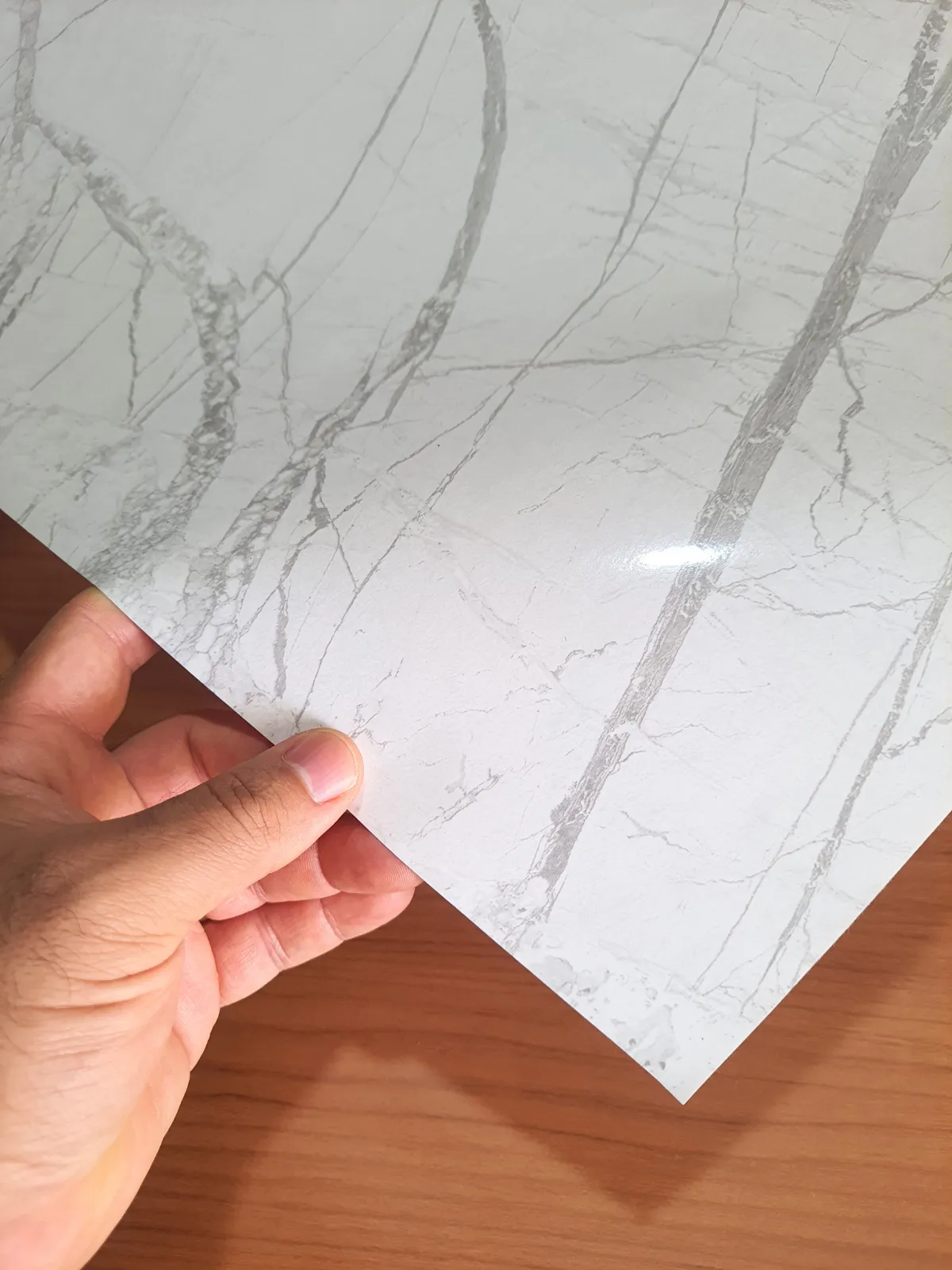 Calacatta bege brilhante SV7-110 amostra 20cm x 30cm - a partir de R$7,41