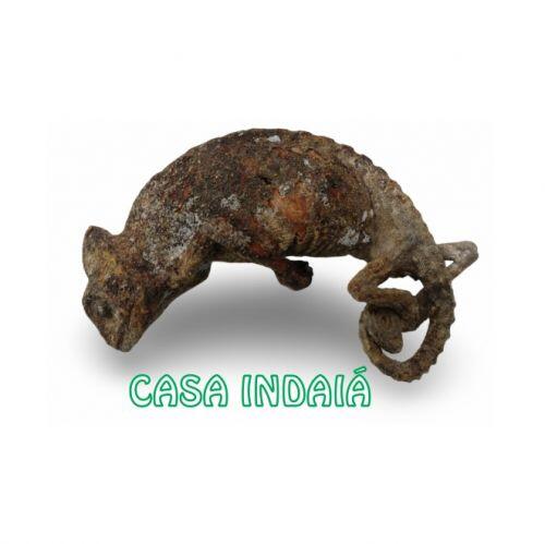 Comprar Alakemo / Oga / Alágemo (Camaleão Seco) - R$80,00