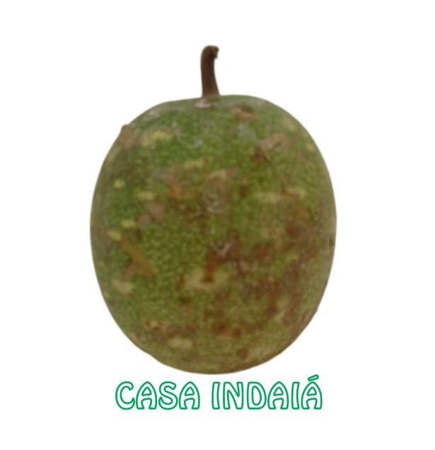 Comprar Tangiri