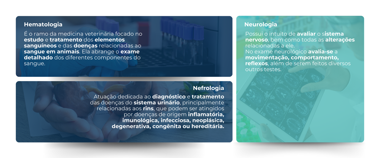 Especialidades - HCVB