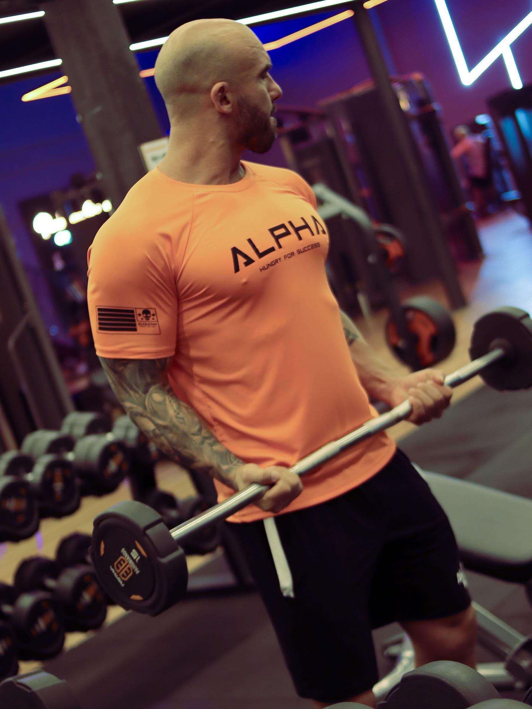 MONTE O SEU KIT 4 Camisetas Masculina Dry Fit ALPHA - ALFA KING | SEJA ALFA