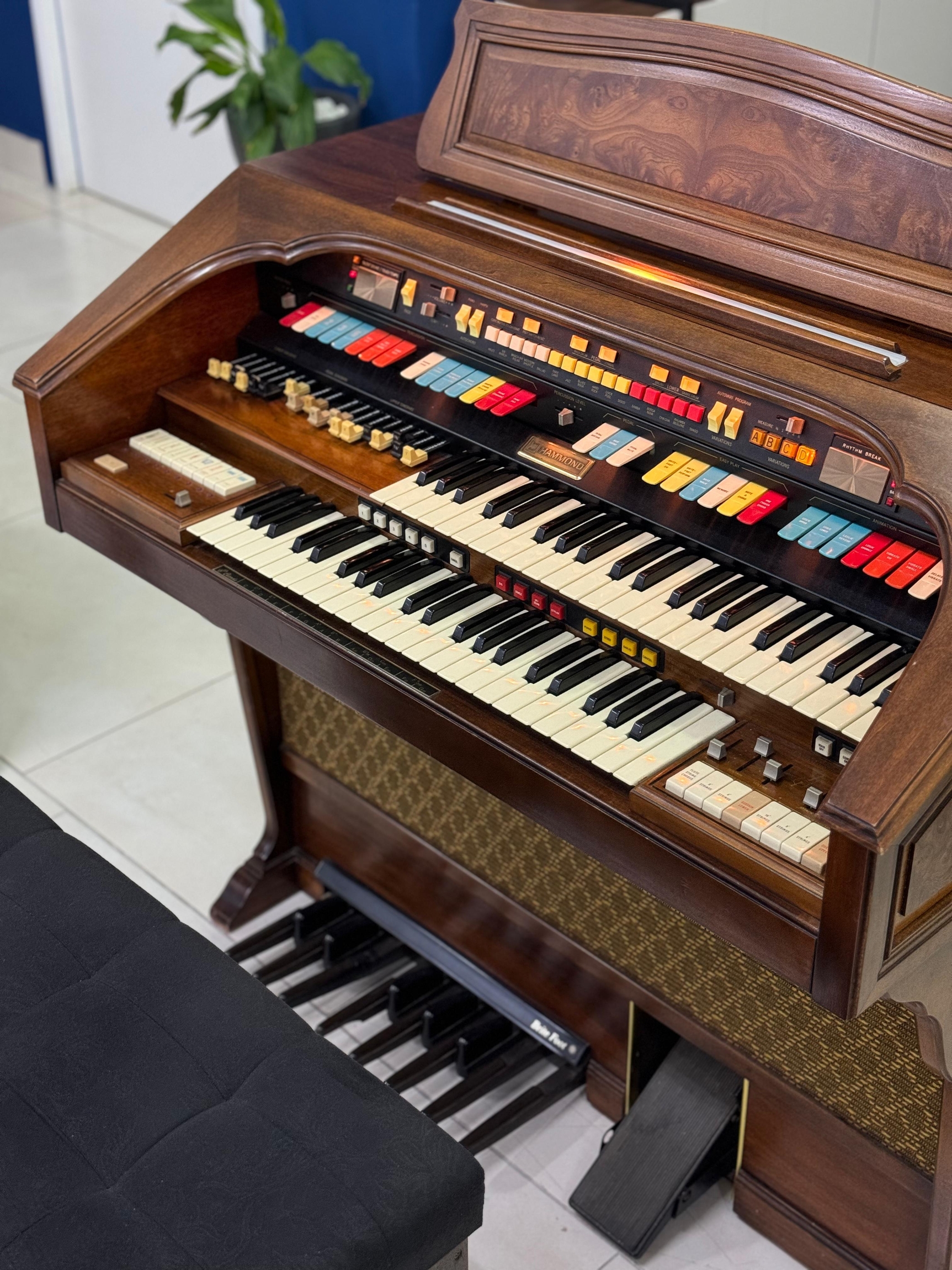 Comprar Órgão Eletrônico Hammond Aurora Classic - a partir de R$17.820 ...
