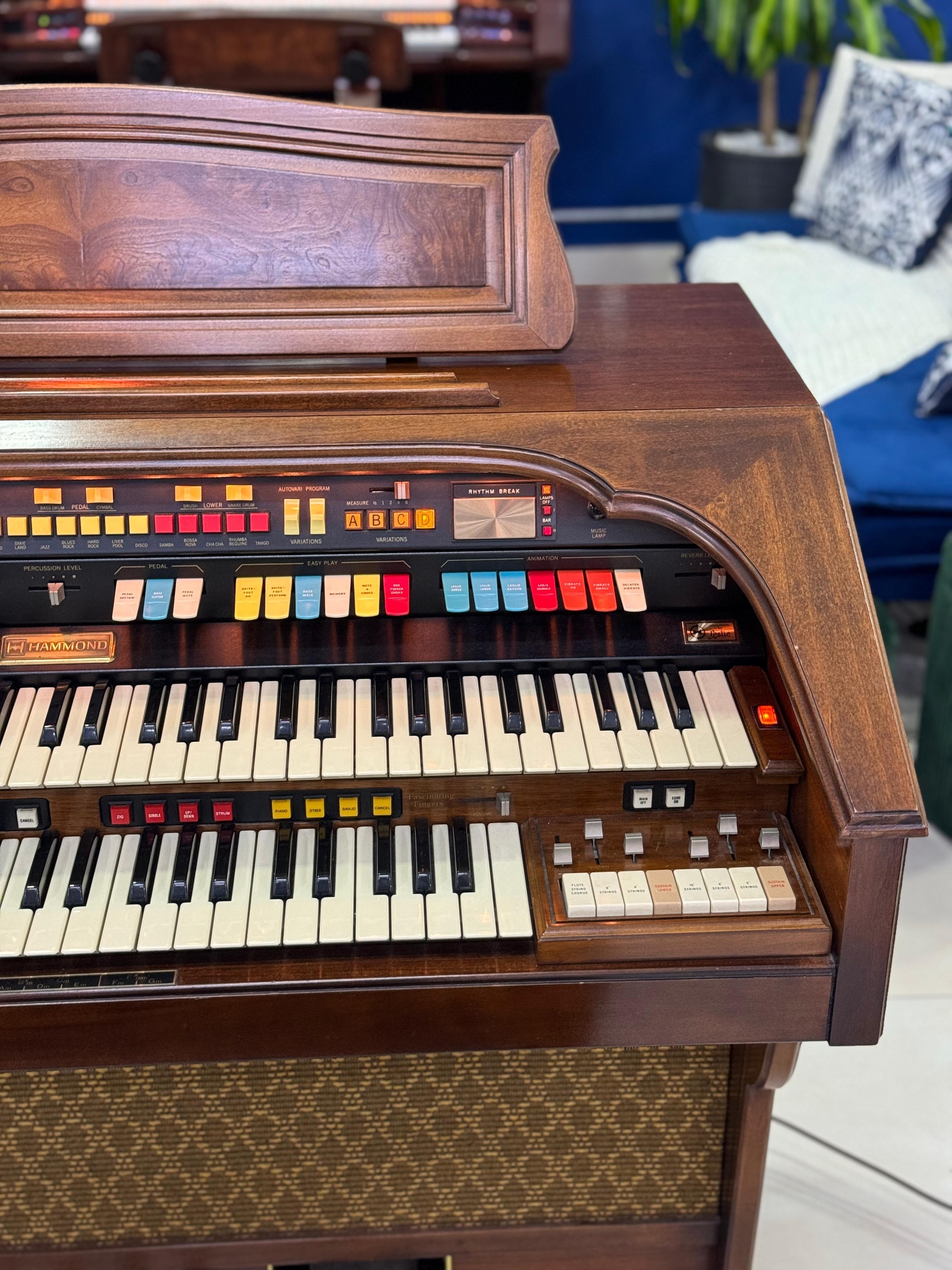 Comprar Órgão Eletrônico Hammond Aurora Classic - a partir de R$17.820 ...