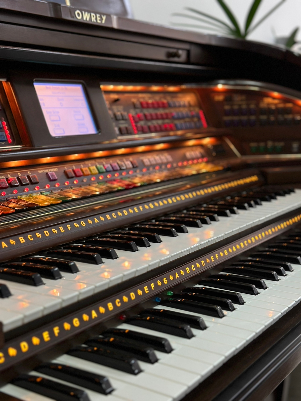 Comprar Órgão Eletrônico Lowrey Rhapsody - a partir de R$63.810,00 ...