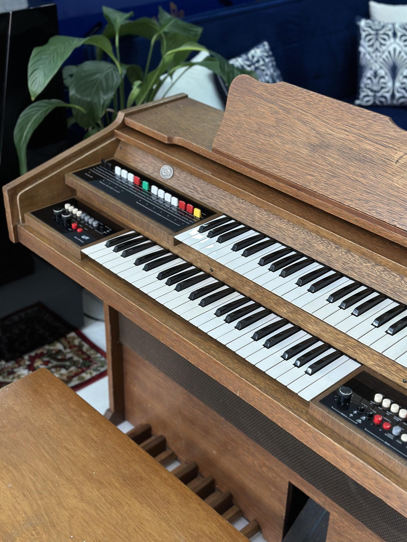 Comprar Órgão Eletrônico Spark 1982 - Fermatta Instrumentos Musicais