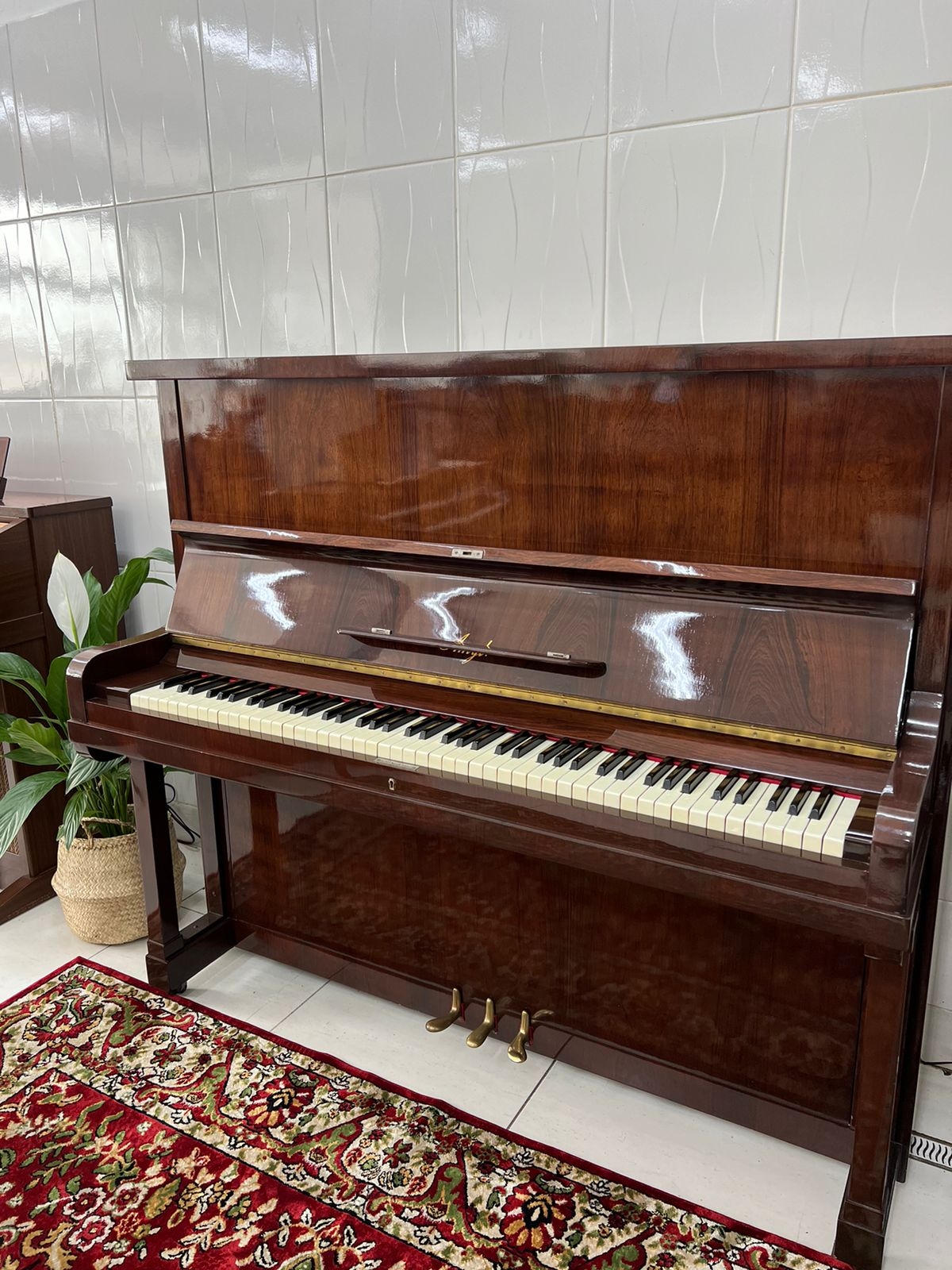 Comprar Piano Acústico Cirei - Fermatta Instrumentos Musicais