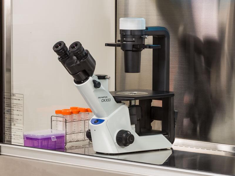 Comprar Microscópio Invertido CKX53 - Labspeq