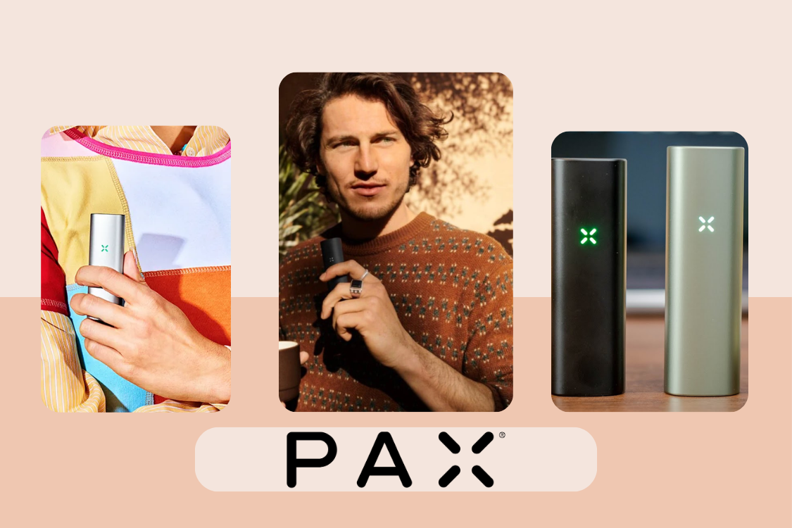 Pax Labs: review dos vaporizadores Pax Plus e Pax Mini