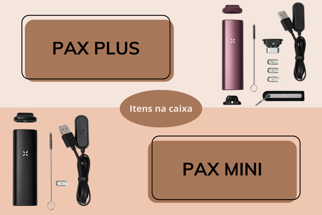 Pax Labs: review dos vaporizadores Pax Plus e Pax Mini