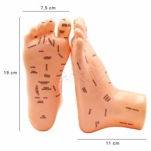 Modelo dos Pés Reflexologia Podal 19 cm - a partir de R$232,70