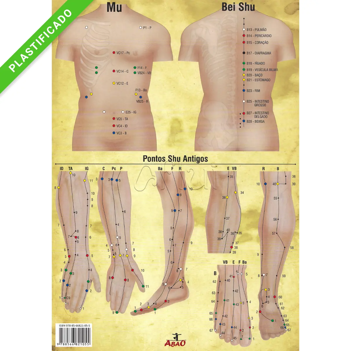 Mapa 5 Elementos Plastificado A4 - Prof. Wagner Fonseca - a partir de R$21,24