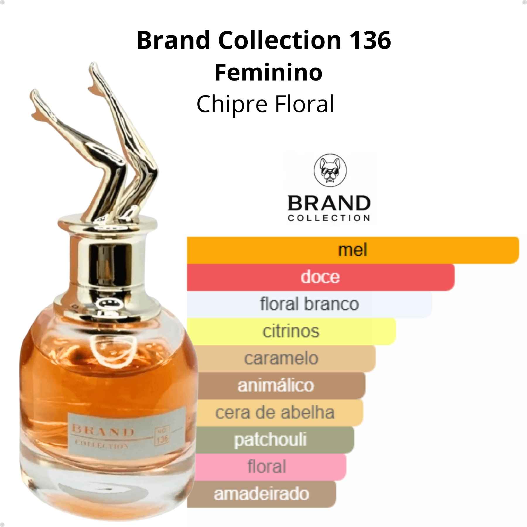 Brand Collection 136 - Scandal - Feminino - a partir de R$66,40