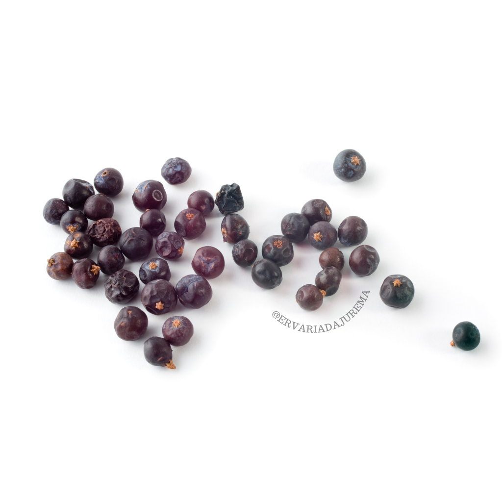 Comprar Zimbro / Junipero BAGAS DESIDRATADAS para Chás ou Banhos - R$15 ...