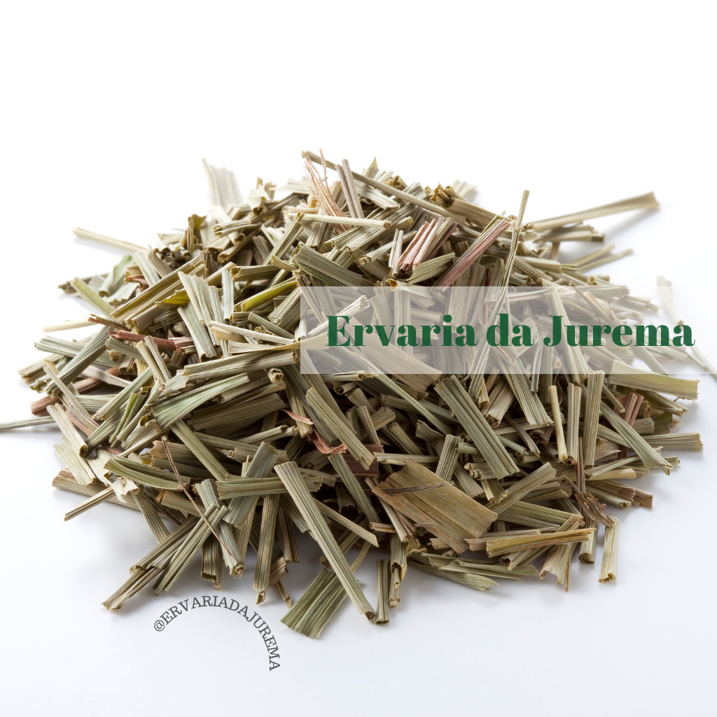Comprar Capim Limão SECOS para Chás e Banhos - R$6,00