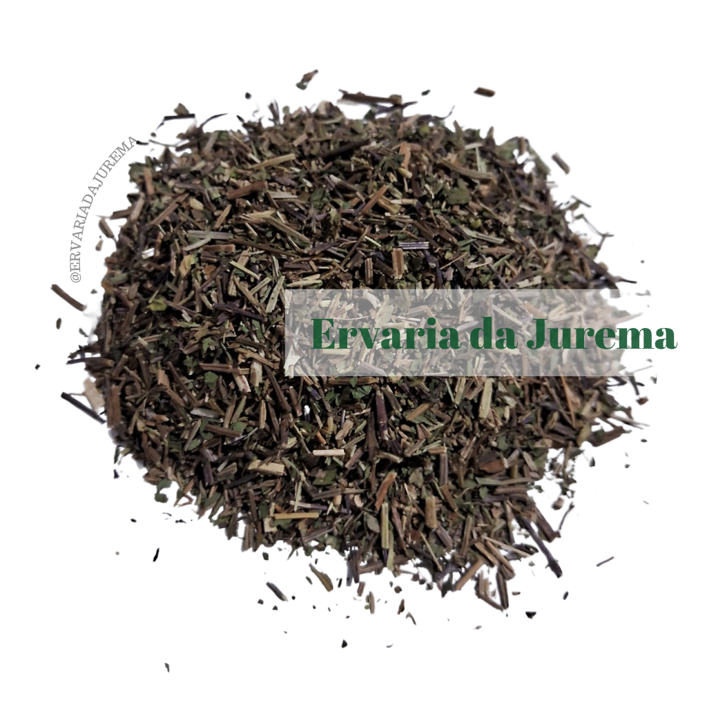 Comprar Hortelã SECOS para Chás ou Banhos - R$5,50 - Ervaria da Jurema