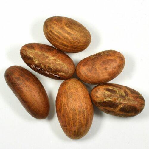 Comprar Obí Africano - R$9,99 - Ervaria da Jurema