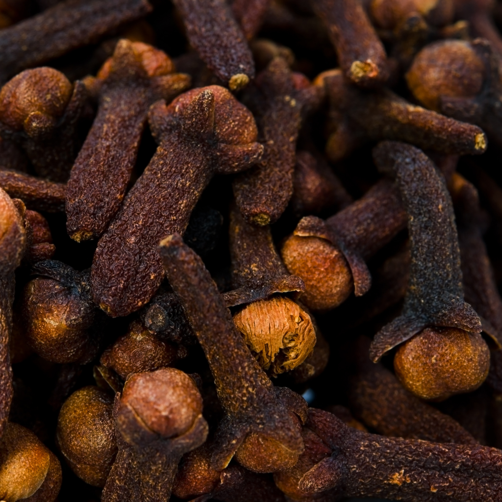 Comprar Cravo da índia - R$9,99 - Ervaria da Jurema