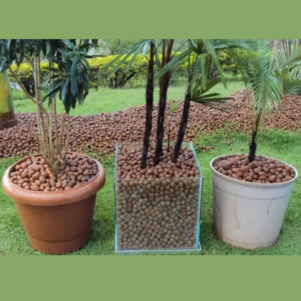 Argila Expandida Grande de Alta Qualidade para Construção Civil ...