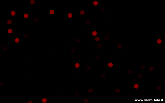 O Que é Dead Pixel: Definição e Soluções para Displays com Pixels ...