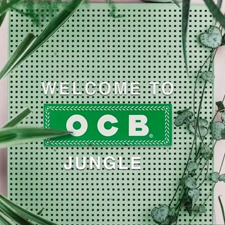 OCB Shop Head Shop - Loja Oficial OCB