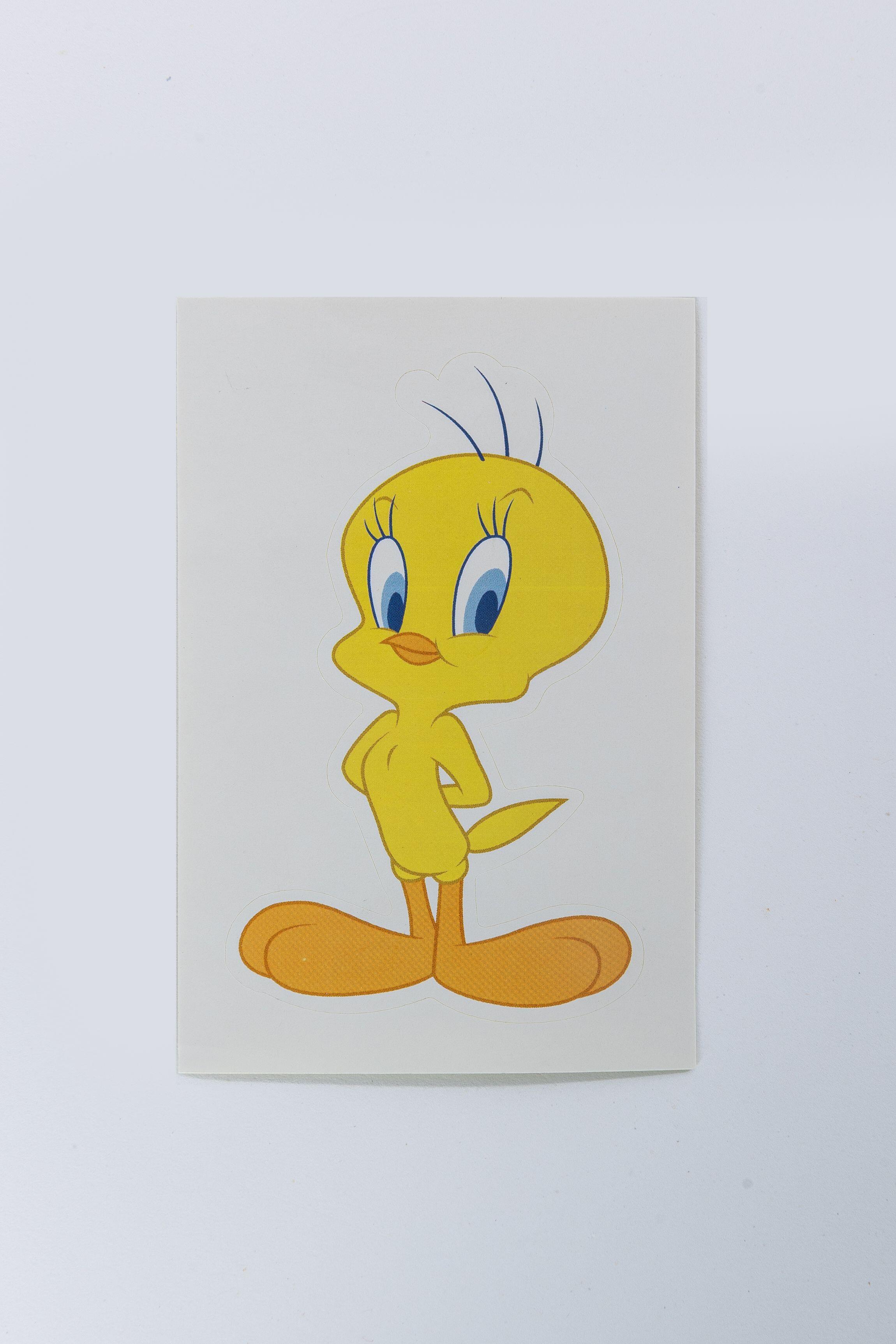Comprar LOONEY-TUNES - PIU PIU - ANDREA AVIAMENTOS