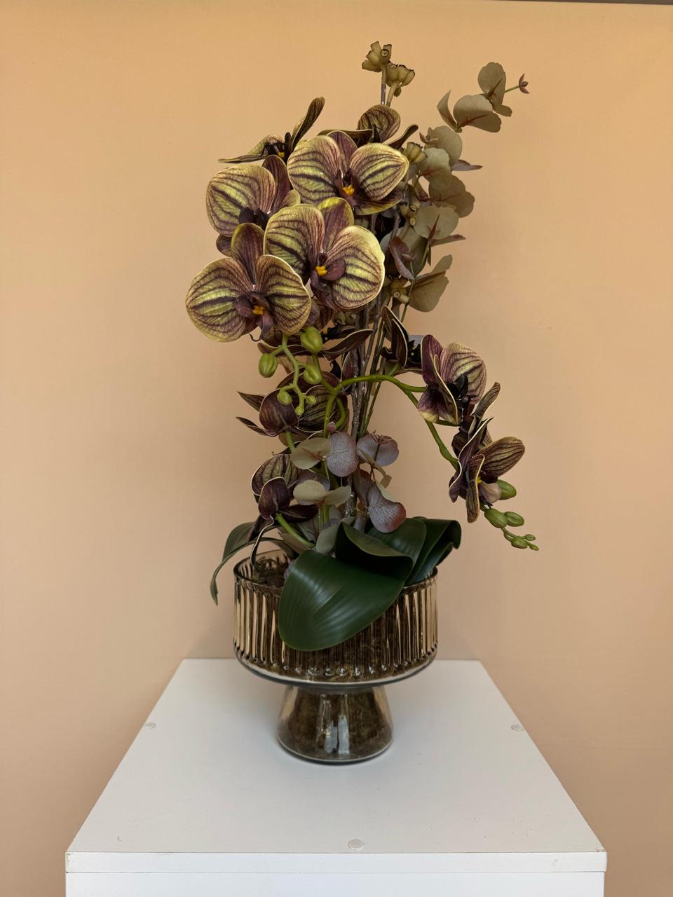 Comprar Gladis - Maison de L'orchidée