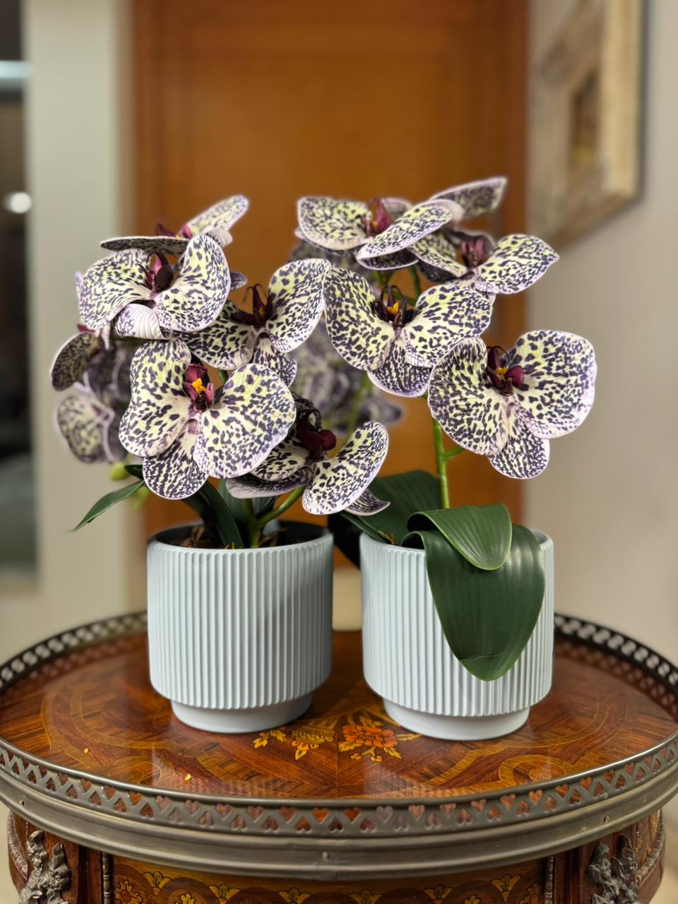 Comprar FAFA - Maison de L'orchidée