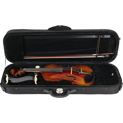 Comprar Violino 4/4 Envelhecido Eagle VK544 - a partir de R$2.294,99 ...